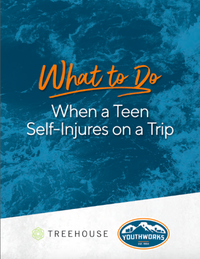 Teen Self-Injury Resource Download - YouthWorks
